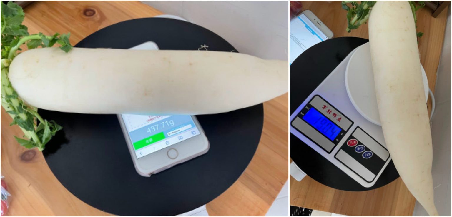 如何用iPhone秤重？教你1招用秤重網頁將iPhone變電子磅秤 - 瘋先生