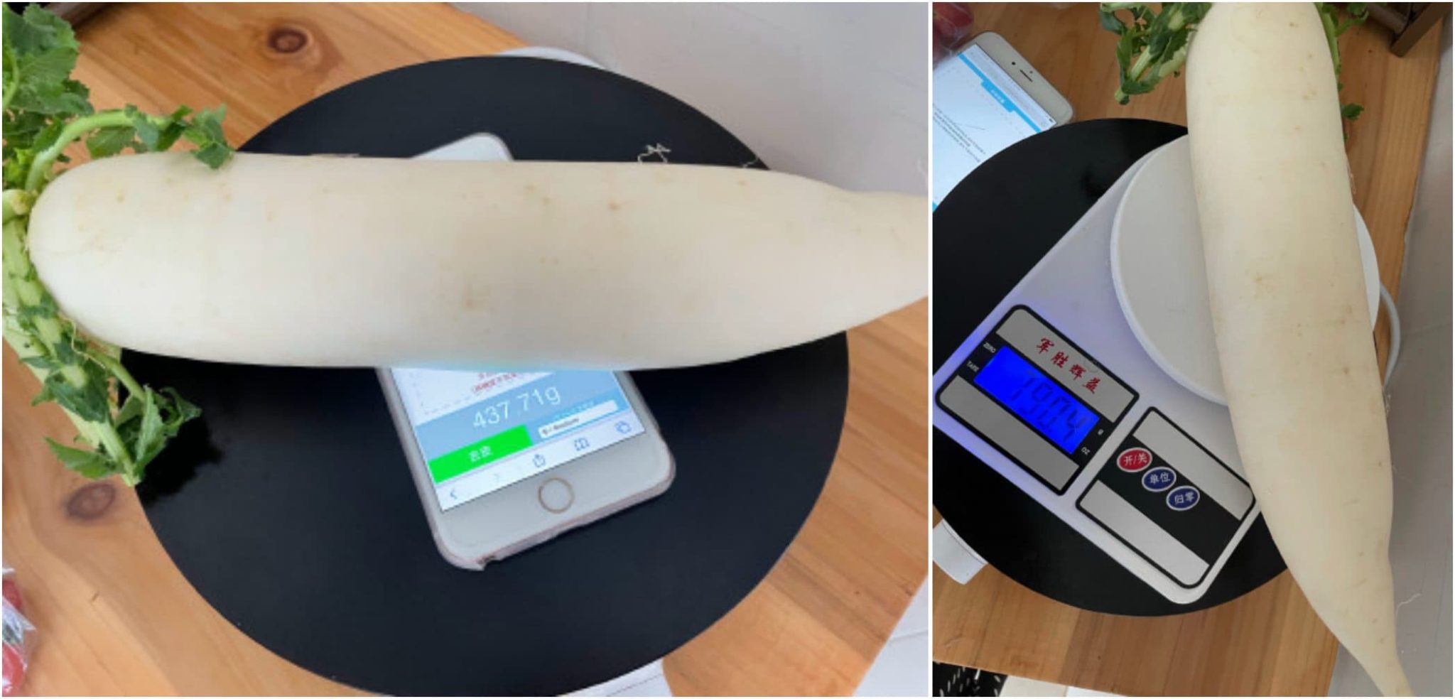 如何用iPhone秤重？教你1招用秤重網頁將iPhone變電子磅秤 - 瘋先生