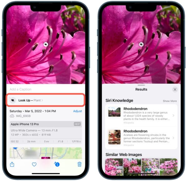 iPhone圖像查詢怎麼用？教你解鎖iOS 照片辨識功能 - 瘋先生