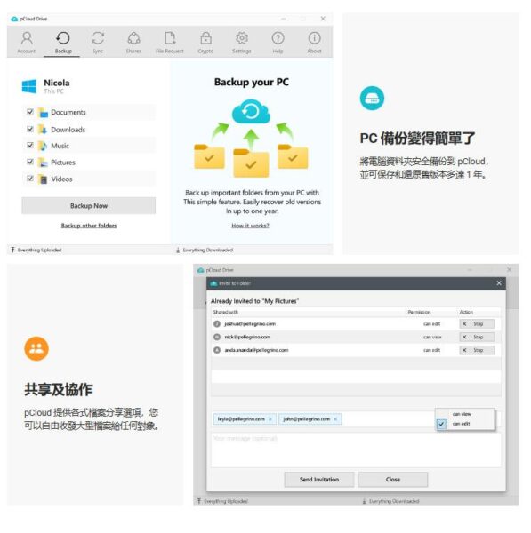 pCloud 2025農曆春節限時半價開跑，終身雲端空間省54%折扣等你拿 - 瘋先生